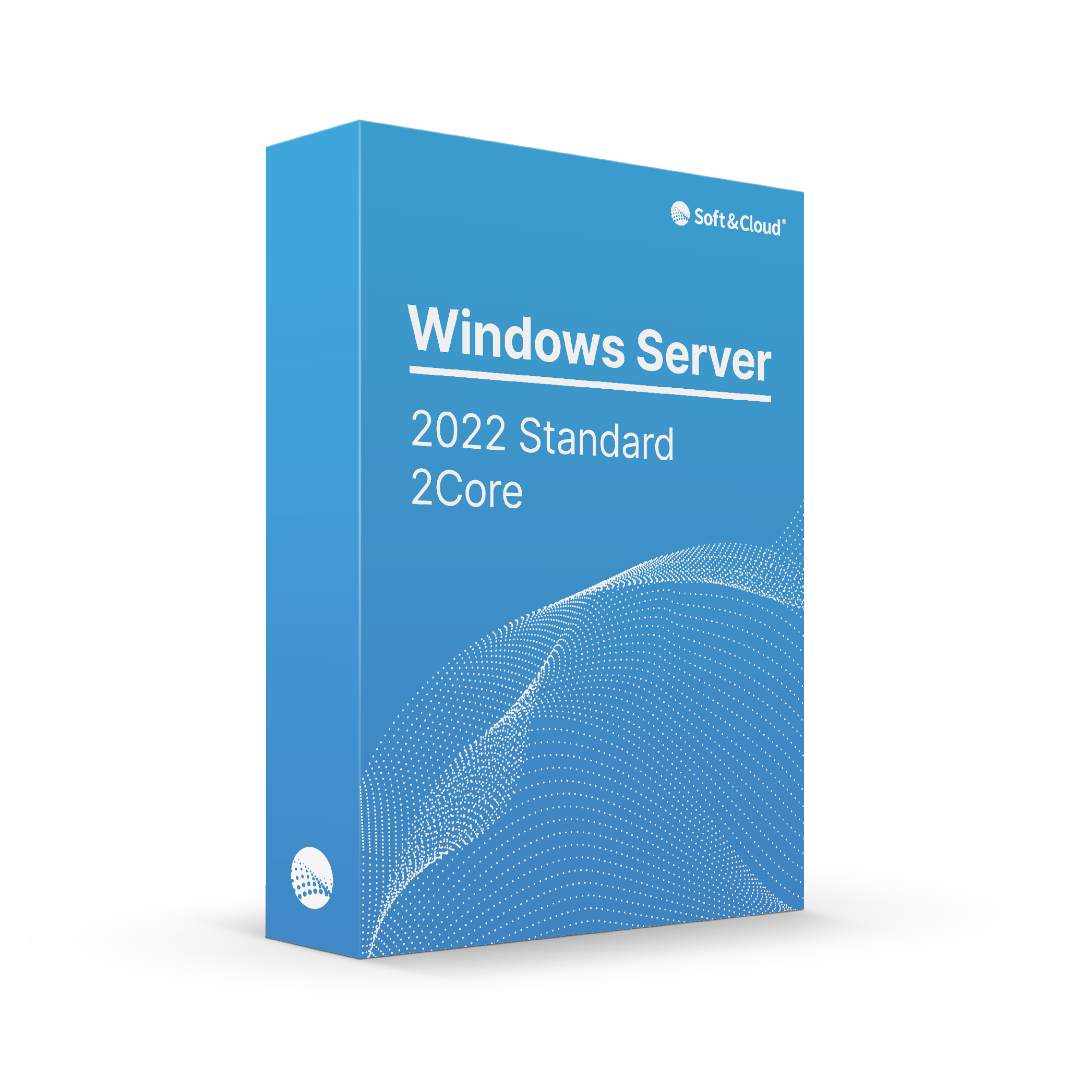 Microsoft Windows Server 2022 Standard 2Core d'occasion